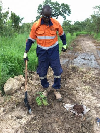 mali-sowing-seeds - Boart Longyear